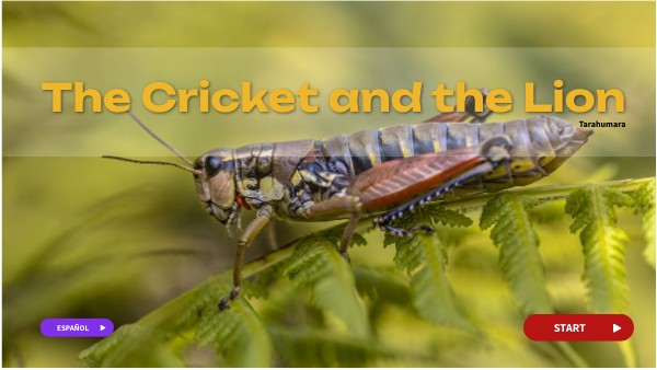 23 The Cricket and the Lion