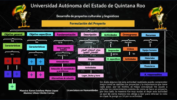MAPA CONCEPTUAL Formulación del proyecto