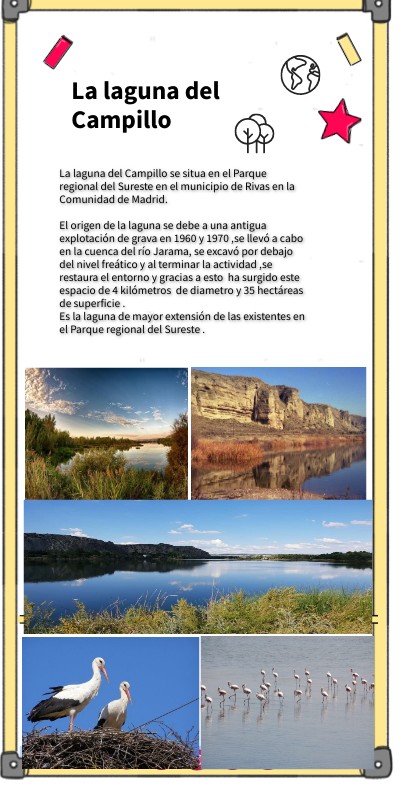 La laguna del Campillo | Genially