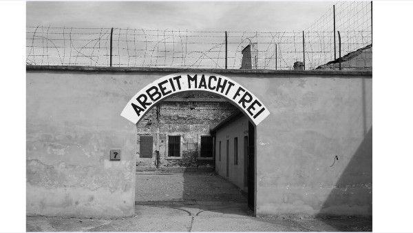 CIRCULAR CONCEPT MAP | Genially