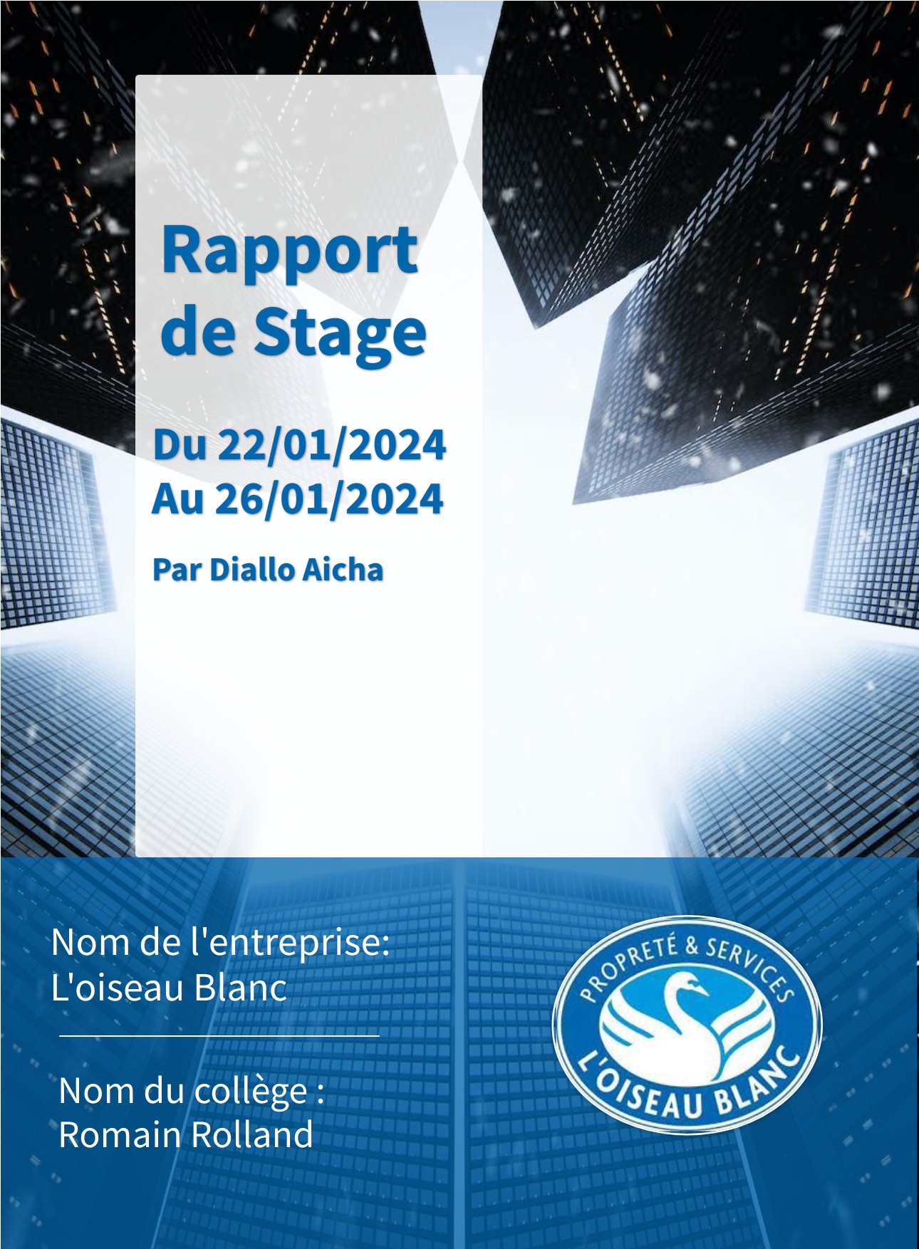 Rapport de stage d'observation