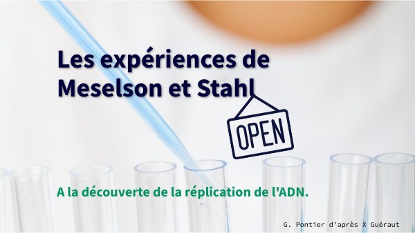 Expérience Meselson et Stahl | Genially