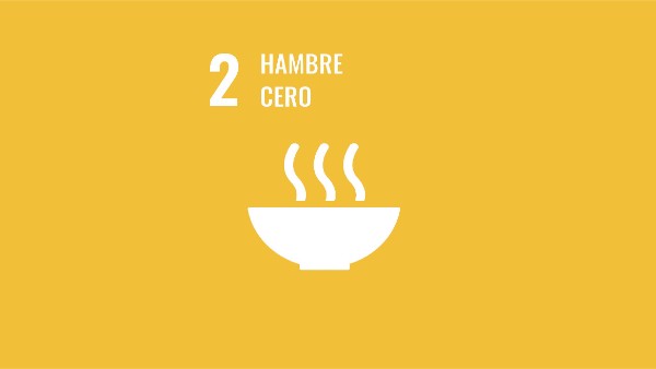 Hambre Cero Genially