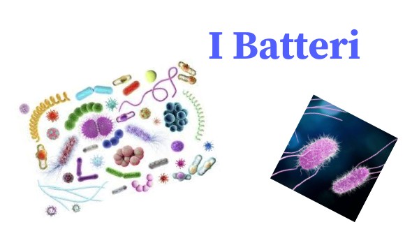 I BATTERI | Genially