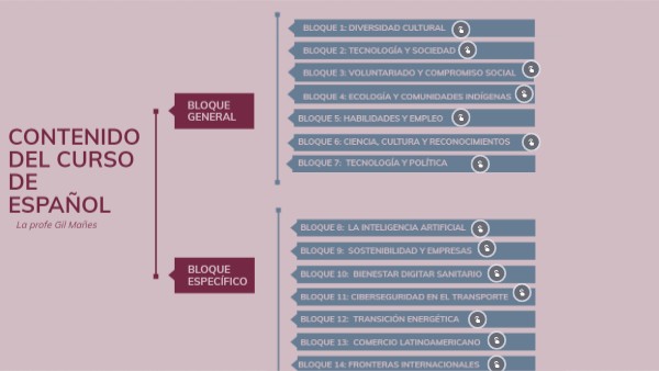 EVA- MAPA CONCEPTUAL CURSO