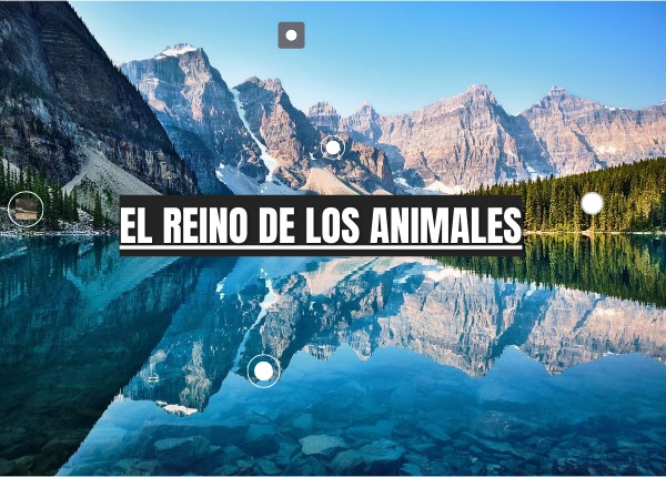 El reino de los animales | Genially