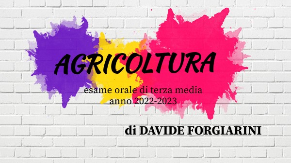 PRESENTAZIONE ESAME DI STATO DAVIDE | Genially