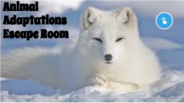Animal Adaptations | Genially