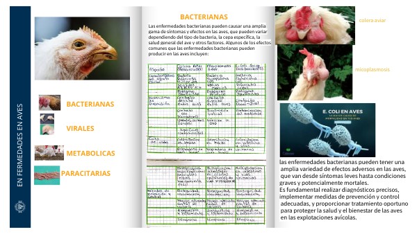 Enfermedades Aves Genially