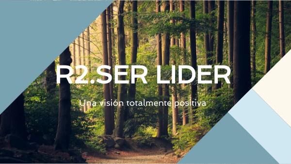 SER LIDER