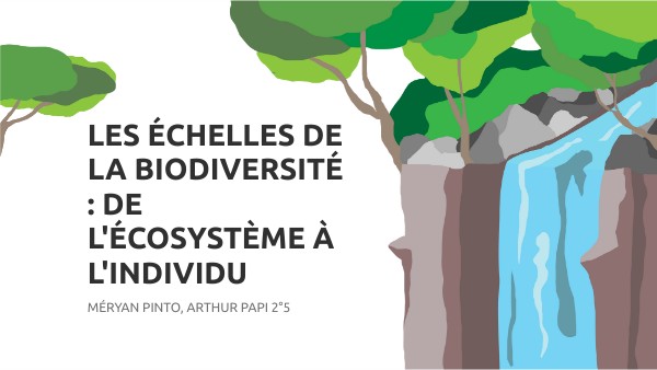 Les Échelles de la Biodiversité : De l'Écosystème à l'Individu | Genially