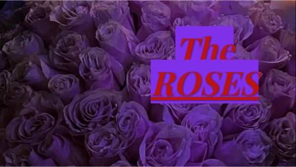 THE ROSES exposer