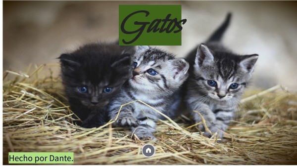 Gatos