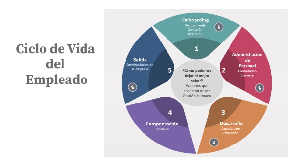 Ciclo de vida del empleado | Genially
