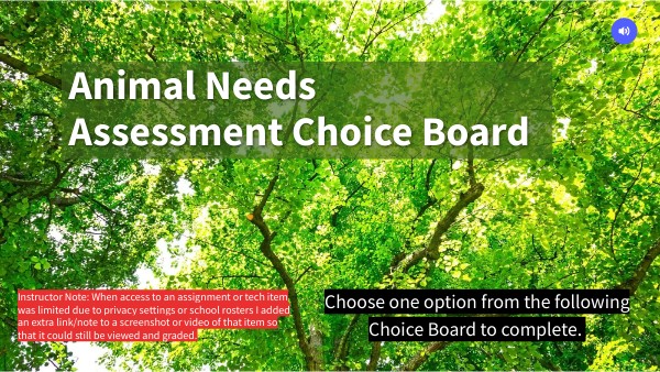 Animals Needs Assessment Choice Board