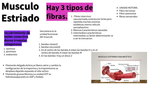 HORIZONTAL MIND MAP | Genially