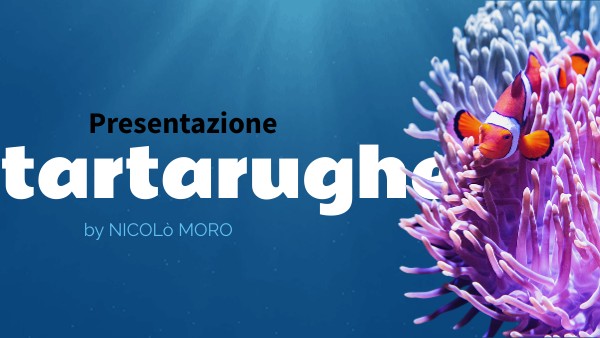 OCEAN PRESENTATION II