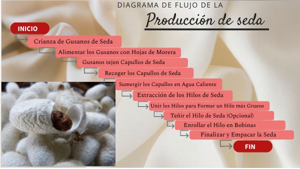 DIAGRAMA DE FLUJO PRODUCCION DE SEDA | Genially