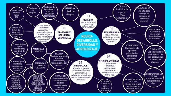 MAPA CONCEPTUAL CIRCULAR | Genially