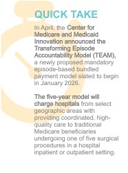 TEAM VBC blog Quick Take | Genially