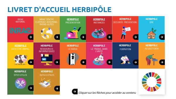 SDGs GUIDE | Genially