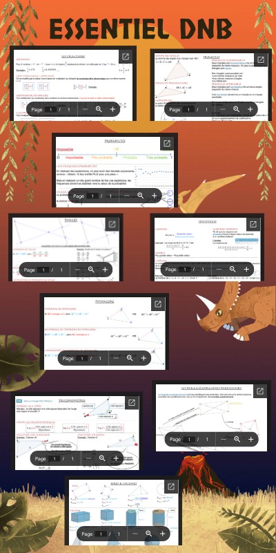Essentiel DNB