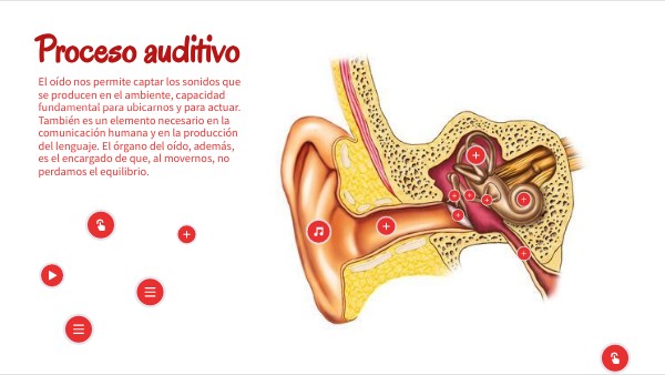 Proceso Auditivo - Selinee Fricas, Josgrelys Pérez | Genially