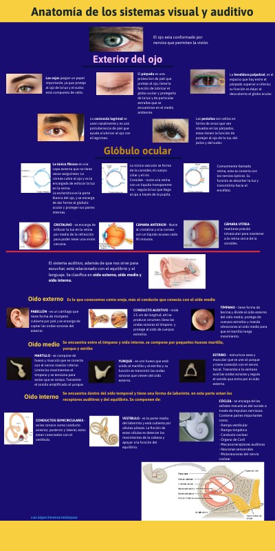 Anatomía visual y auditiva | Genially