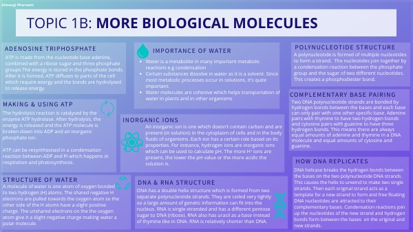 Topic 1B poster | Genially