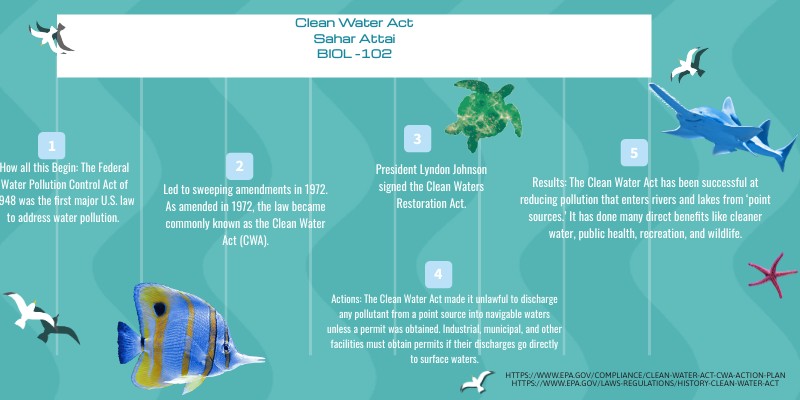 NAUTICAL LIST | Genially