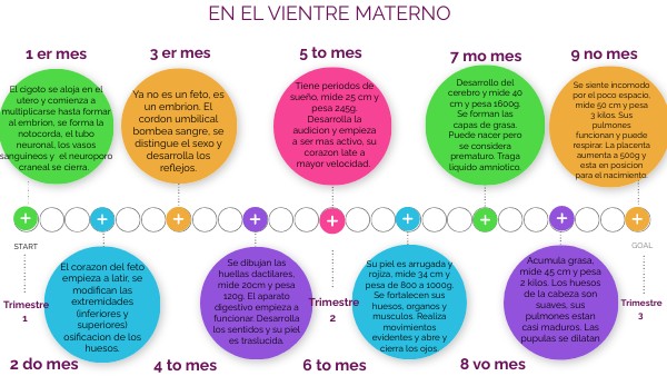 En el vientre materno