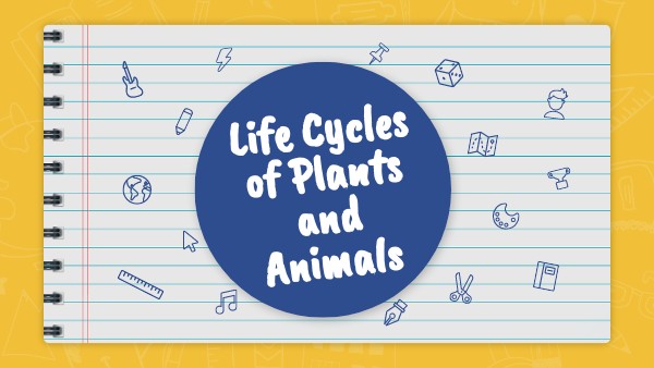 Life Cycles of Plants and Animals