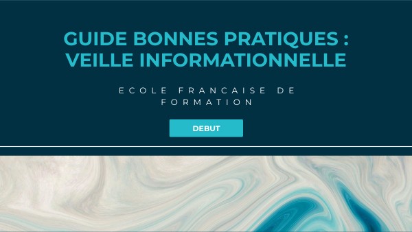GUIDE BONNES PRATIQUES - VEILLE INFORMATIONNELLE