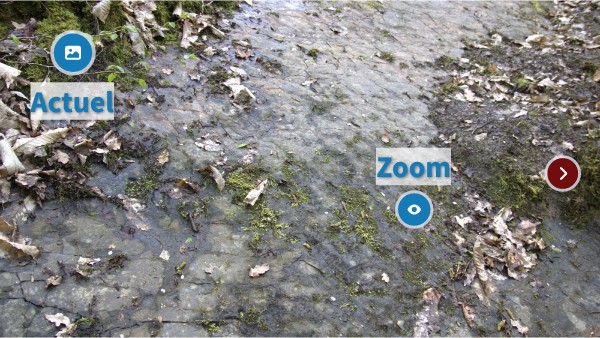 Ripple marks et grès de May | Genially