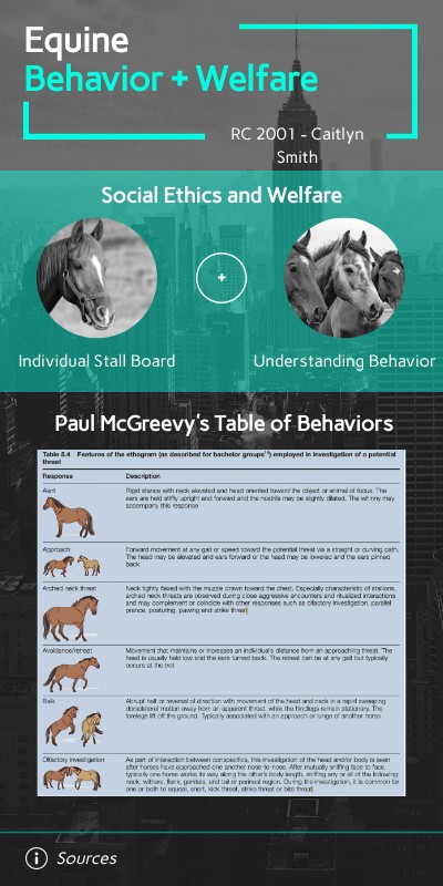 Equine Behavior and Welfare