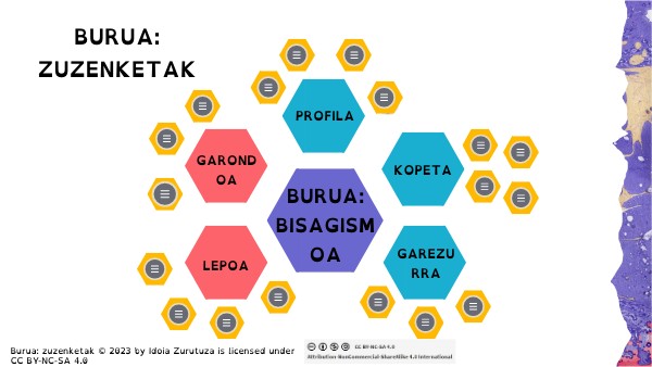 Irisgarritasuna-BURUA: ZUZENKETAK | Genially