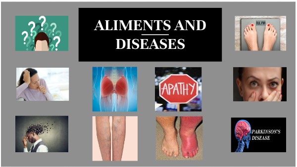 THE ALPS INTERACTIVE IMAGE