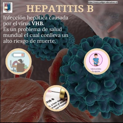 Hepatitis B