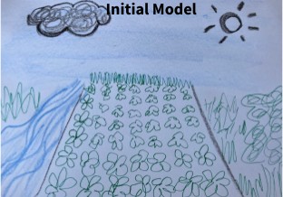 Initial Model