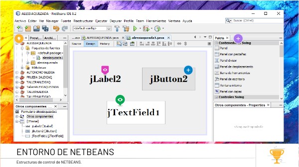 ENTORNO NETBEANS