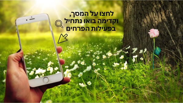 DIGITAL BASIC PRESENTATION | Genially