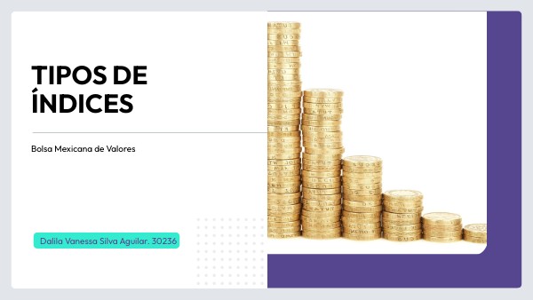 Tipos de índices BMV | Genially