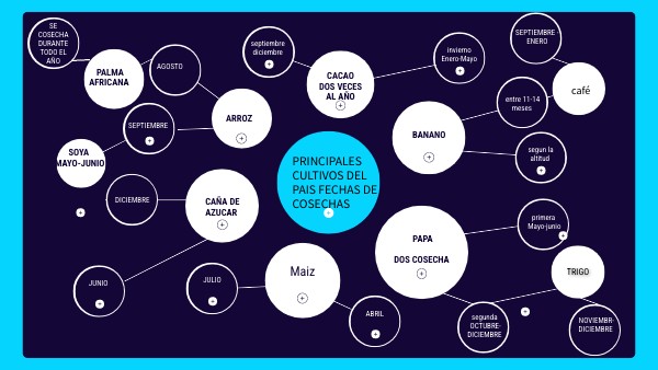 MAPA CONCEPTUAL CIRCULAR | Genially