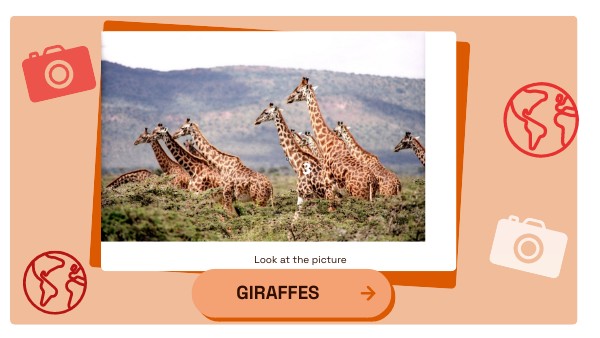 Giraffes | Genially