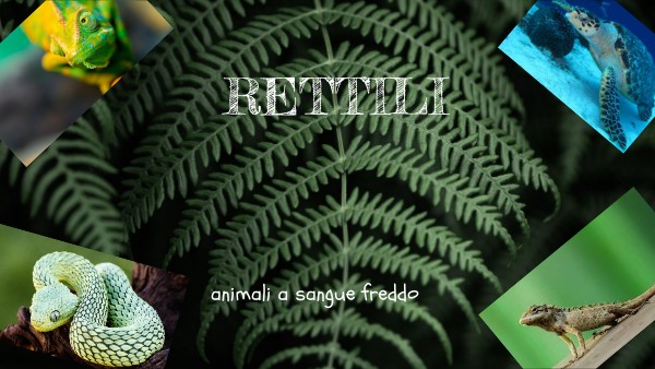 rettili | Genially