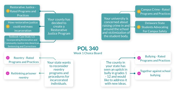 POL 340 Week 1 Choice Board