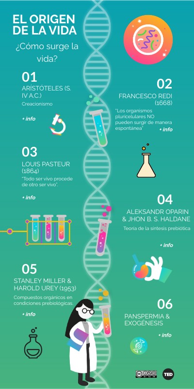 BIOLOGY VIBRANT TIMELINE