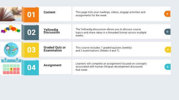 PSY358 course structure