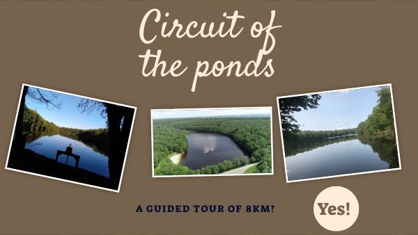 Circuit of the three ponds (English version) | Genially