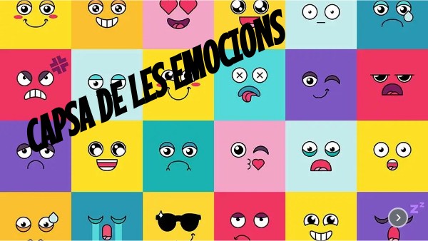 CAPSA DE LES EMOCIONS